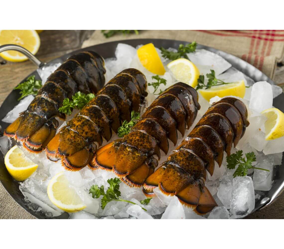 SHELLFISH | SEAFOOD | UNITED
