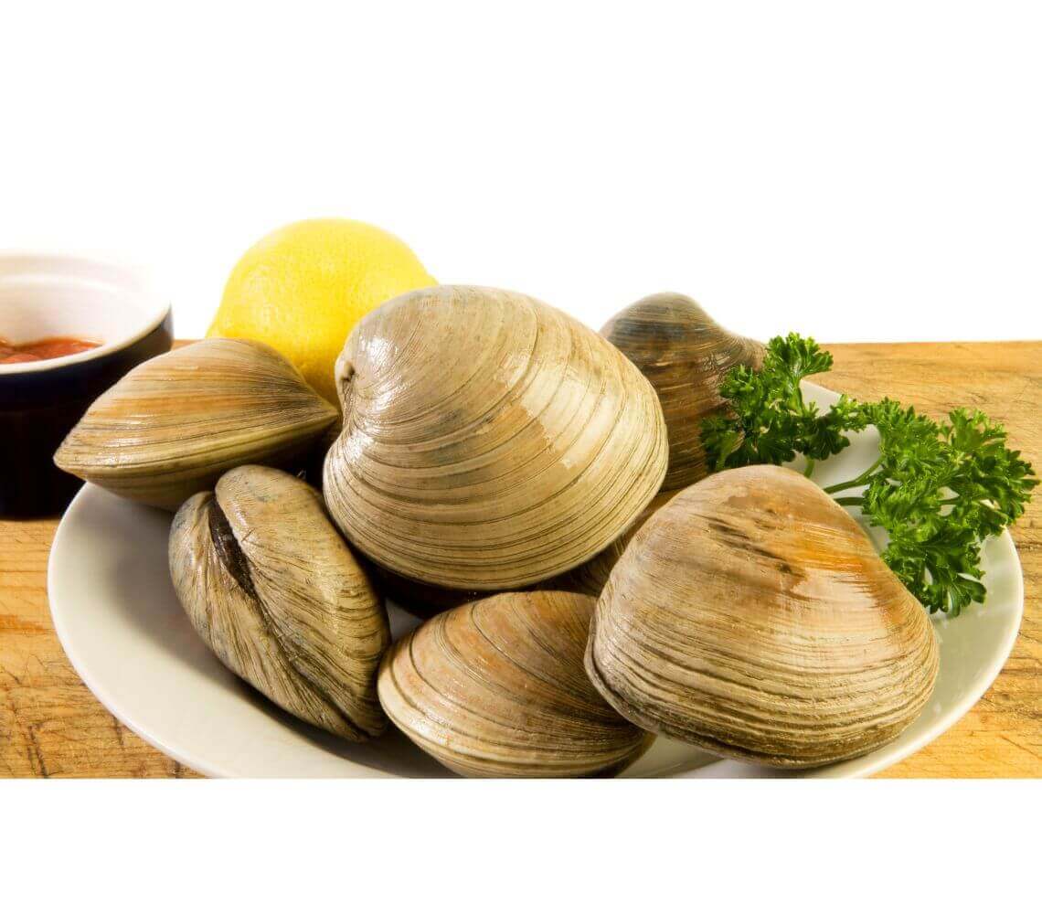 SHELLFISH | SEAFOOD | UNITED